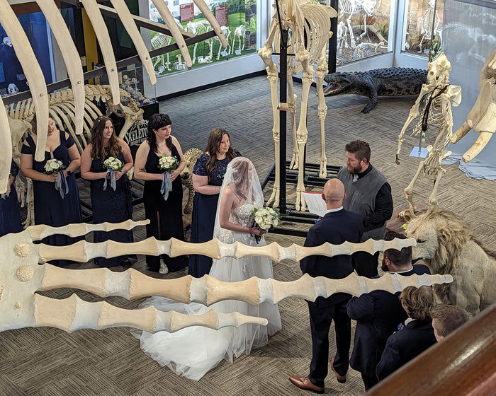 Weddings & Receptions – SKELETONS: Museum of Osteology