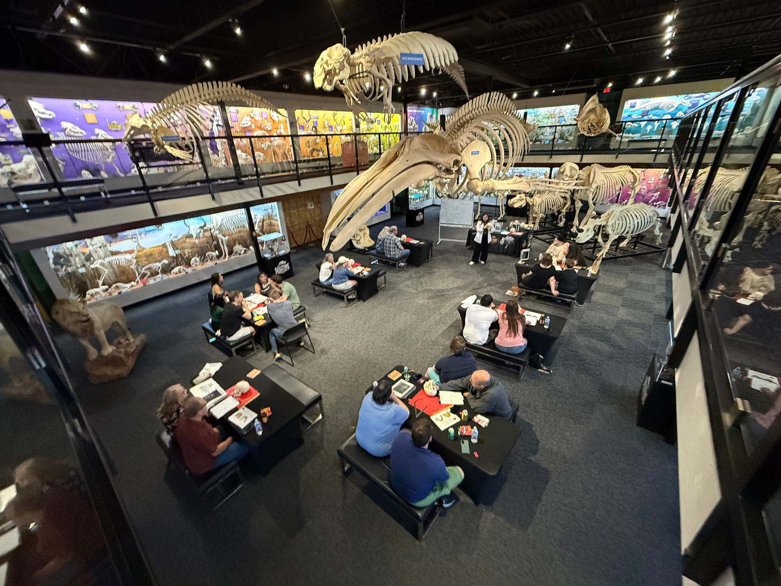 Forensic Night 21+ Event – SKELETONS: Museum of Osteology