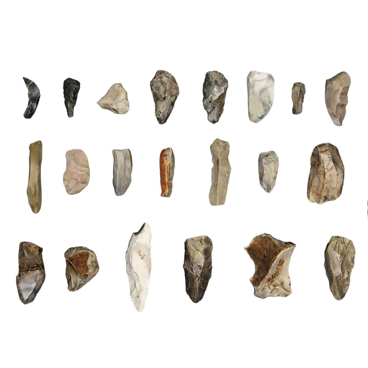 Replica Neanderthal Mousterian Industry Tools (Set of 21) For Sale ...